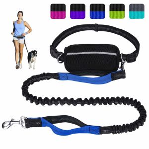 Quality Dog Harness Leash for sale