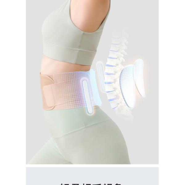 Quality Back Brace For Posture Lower Back for sale