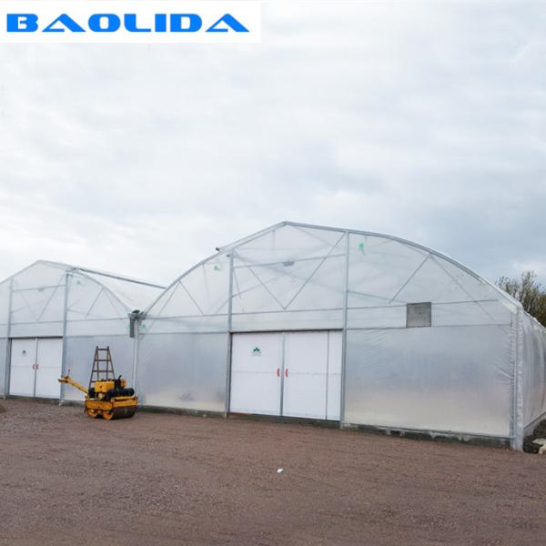 Quality Agriculture Planting Plastic Sheeting Large Scale Steel Frame Greenhouse Multi for sale