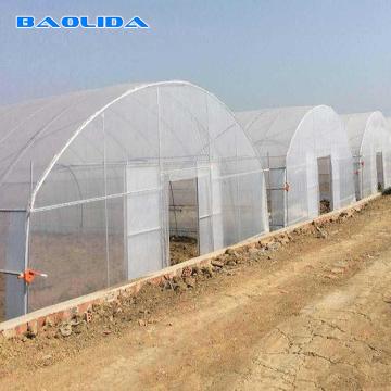 High Tunnel Vegetables Planting Single Span Vegetable Tunnel Plastic Film