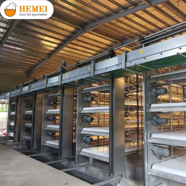 Quality Manure Removal Equipment with Anti-Rust Material for sale