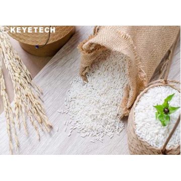 Quality SS 304 Material Rice Testing Machine Vision System For Grain Depot for sale