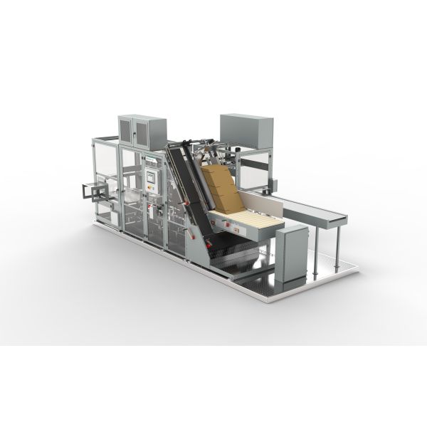 Quality 450nl/Min Air Pressure Mechanical Stretch High Level Bag Case Packer Palletizer for sale