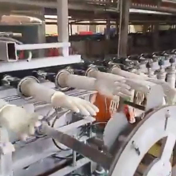 Quality 2020 Nitrile Hand Gloves Making Machine with good price for sale