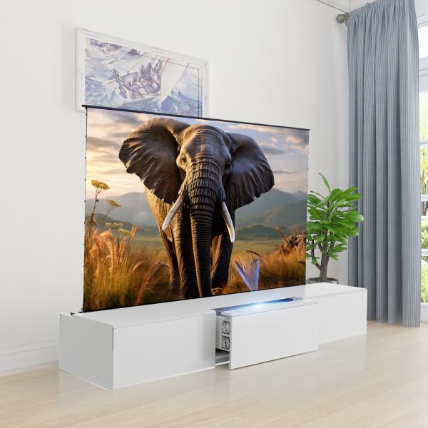 Quality Laser TV Cabinet 100-150inch Modern Projector Cabinet for sale