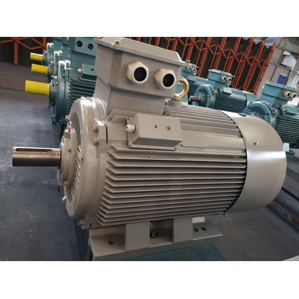 Quality 90kw Industrial AC 3 Phase Induction Motor 125hp 1480rpm Electric Motor for sale