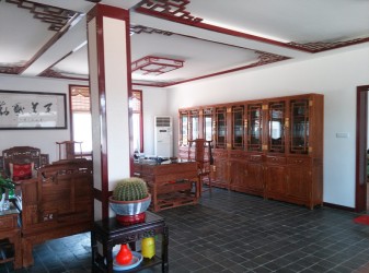 China Factory - LUOYANG DANNUO GARDENS & BUILDING MATERIAL CO., LTD.