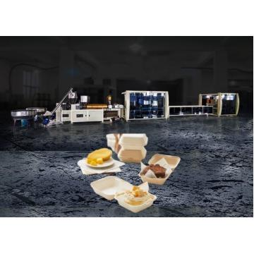 Quality Full Automatic Burger Box Machine Equipment Production Line for sale