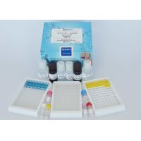 Quality Food Safety Enrofloxacin ELISA Test Kit Rapid Assay Protocol With Strong for sale