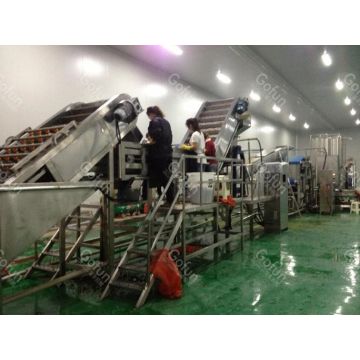 Quality One Stop Service​ SUS304 Mango Jam Processing Line For Finished Product 10 - for sale