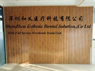 China Factory - Esthetic Dental Solution Co., Ltd.
