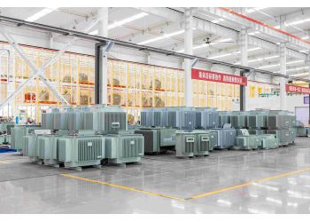 China Factory - TSTY Electric Co., Ltd.