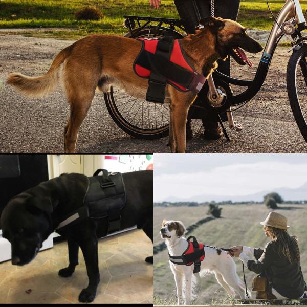 Quality Reflective Dog Harness Leash Breathable Adjustable With Handle No More Pulling for sale