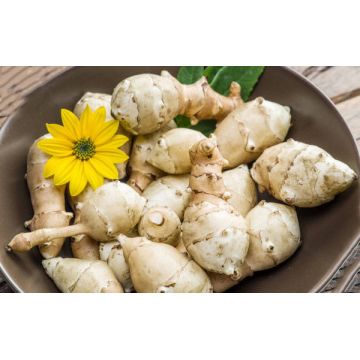 Quality Inulin Vegetable Extract Powder for sale