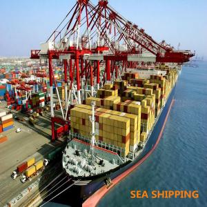 Quality Cargo Duty Included Fast Vessel DDP Sea Shipping To Amazon USA for sale