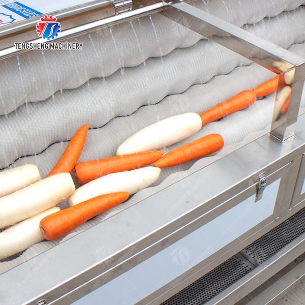 Quality Enhance Your Production with Our State-of-the-Art Fruit And Vegetable Processing for sale