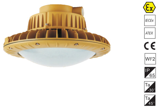 Quality 19000 Lumen NEW-FBP-180W Round Explosion Proof LED High Bay Lighting Fixtures for sale