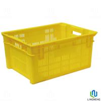 China Farm Lightweight Plastic Crates Manufacturing for Baby Chick factory