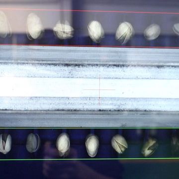 Quality 1 Ton High Capacity Pistachio Nuts Sorting Machine Stainless Steel for sale