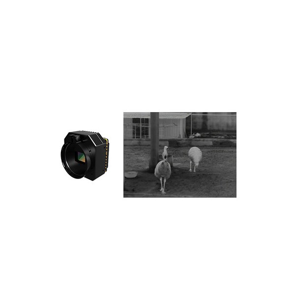 Quality 67g Infrared Detector 8μm-14μm Spectral Range for sale