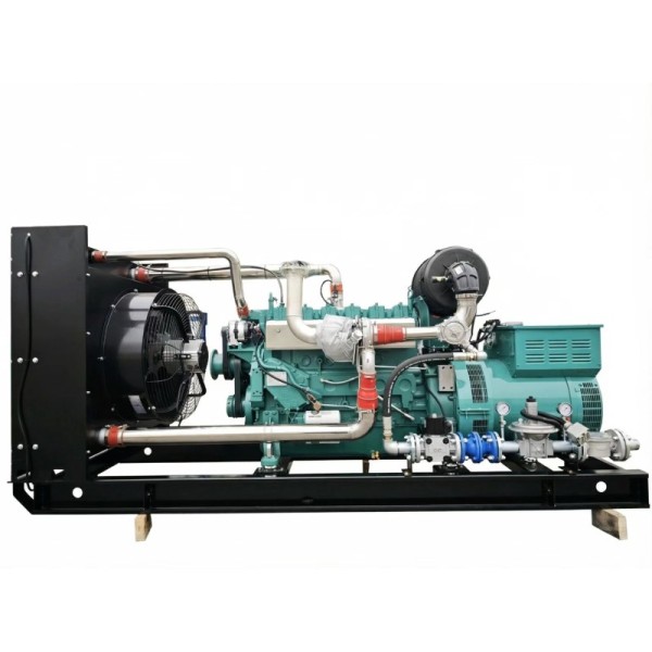 Quality Gas consumption 0.3 M³/h Natural Gas Generator Rated Current 18-1080A Output Power 200kw Power Supply for Commercial for sale