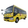 Quality Customized 7m Coaster Model School Student Shuttle Bus Iveco Chassis System for sale