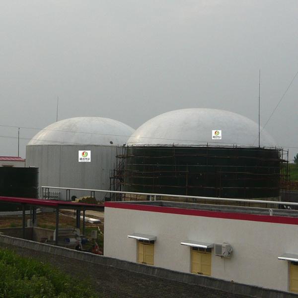 Quality Anaerobic Double Membrane Gas Holder PVC PDFE Biogas Gas Holder for sale