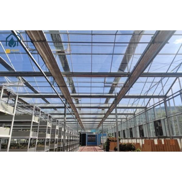 Quality Transparent Glass Greenhouse Customized Commercial Hydroponic Greenhouses With Motor Ventilation for sale