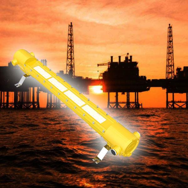 Quality 2000kpa 40W Aluminum Explosion Proof Light Polyester Coated for sale