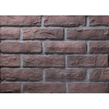 Quality Type A Series Building Thin Veneer Brick With Size 205x55x12mm For Wall for sale