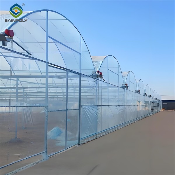 Quality Stable Structure Agricultural Multi Span Greenhouse 30-100m Length for sale