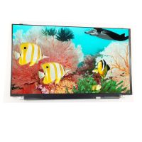 China Slim 10.1 Inch LCD Screen B101AW06 V 0 1024x600 Replacement LCD Screens factory