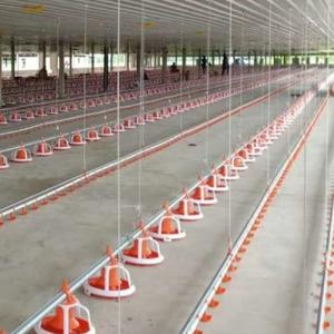 Quality Poultry Farm Auto 380V Chicken House Equipment for sale