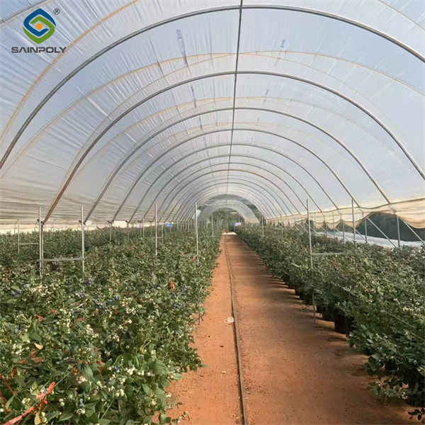 Quality Customization Multi Span Greenhouse Agriculture Green House For Berry for sale
