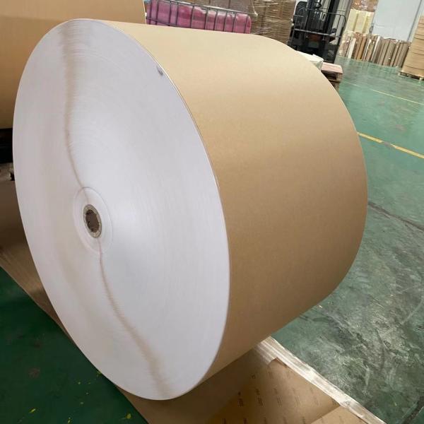 Quality PE Coated 7oz 8oz Paper Cup Bottom Roll Food Grade 3500m Length for sale