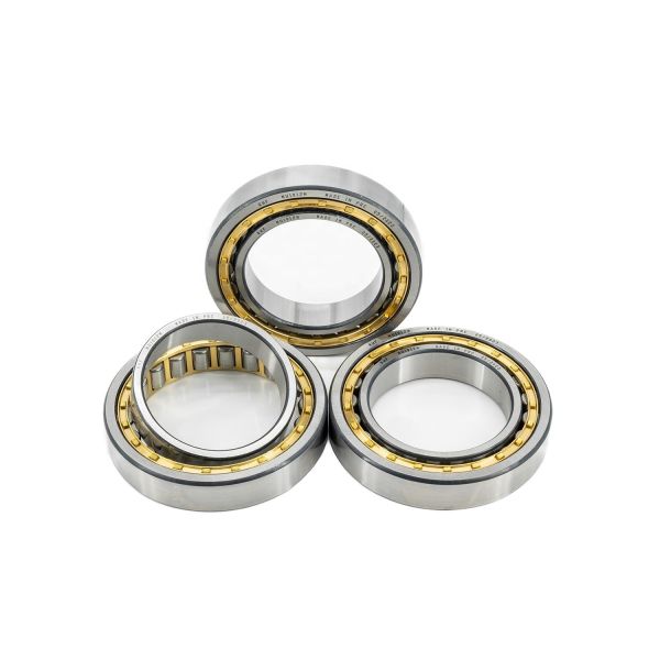 Quality 60*95*18mm N/NU/NJ/NF1012EM Cylindrical Roller Bearing Suitable for Various Industries for sale