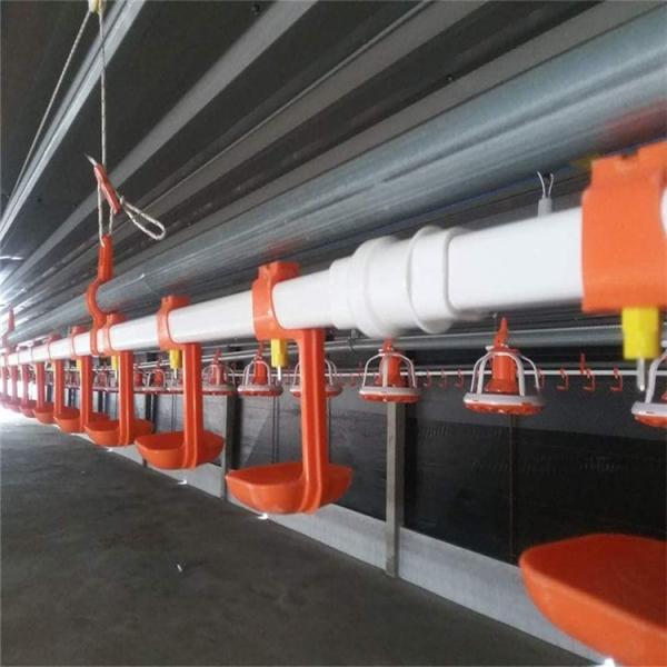 Quality 22mm Auto Nipple Drinkers Poultry Farm Equipment for sale