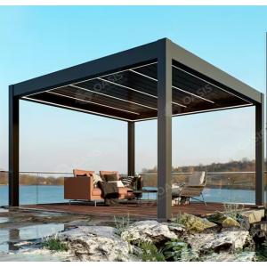 Quality Fully Automatic Electric Opening And Closing Patio Wall Mounted　Motorized for sale