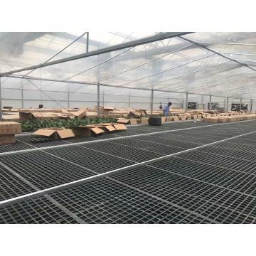 Quality Hot Dip Galvanized Greenhouse Planting Beds for sale