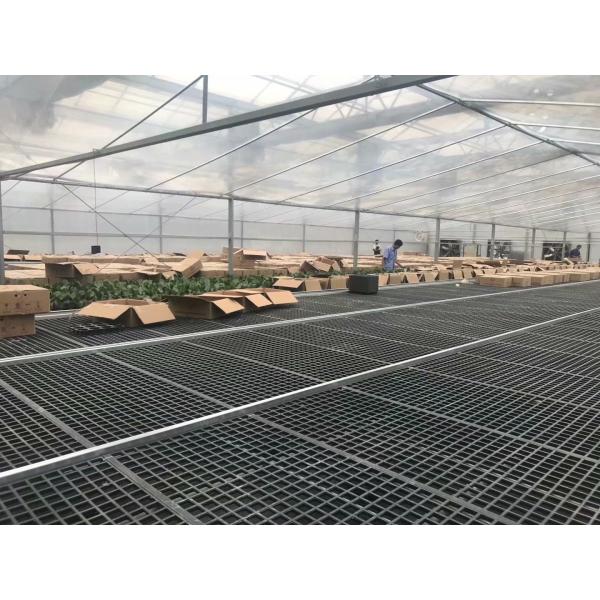 Quality Hot Dip Galvanized Greenhouse Planting Beds for sale