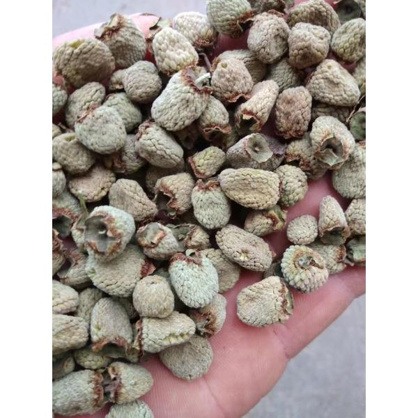 Quality Traditional Chinese Herb Raspberry (Fu Pen Zi) Dried and Raw Processing for for sale