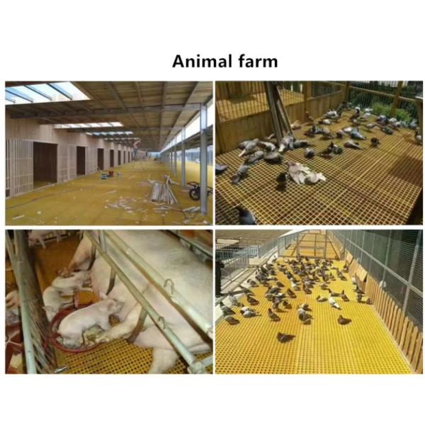 Quality Easy To Clean And Maintain GRP Floor Grating FRP Farm Farm Processing Plant for sale