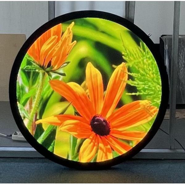 Quality P1.538mm Creative LED Video Wall for sale