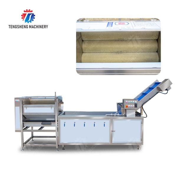 Quality Citrus cleaning production line Fruit Orange Wash Washer Washing Cleaning Dryer for sale