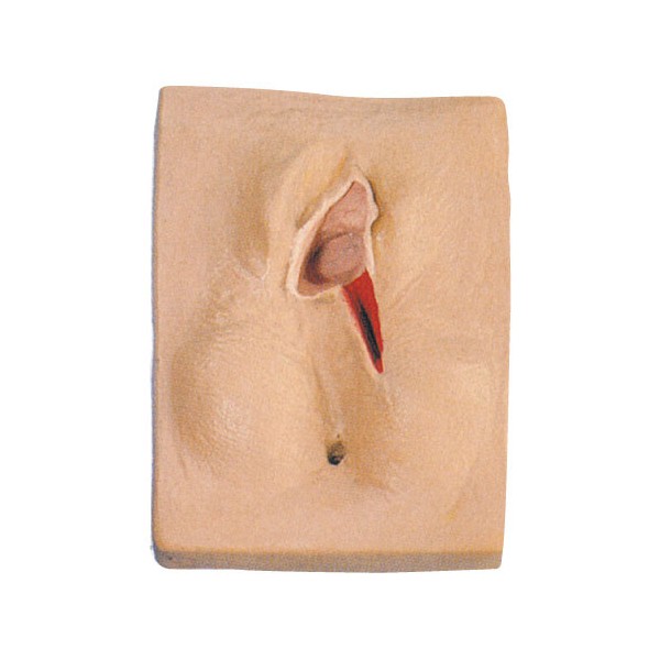 Quality Realistic touch soft PVC Child Birth Simulator Vulva Suturing training for sale