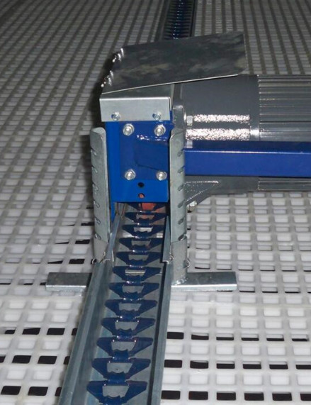Quality Chain Feeder System Chicken Breeding Equipment for sale