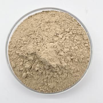 Quality Aerobic Agents Bacteria Grey Powder Wastewater Treatment BOD COD Ammonia for sale