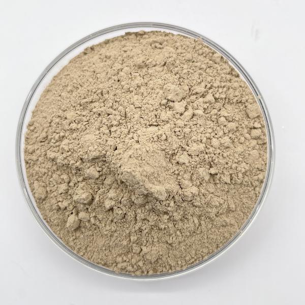 Quality Aerobic Agents Bacteria Grey Powder Wastewater Treatment BOD COD Ammonia for sale