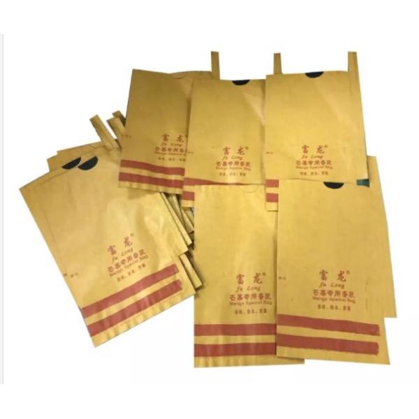 Quality Vietnam Fruit Growing Protection Wrapping Mango Paper Bag Waterproof for sale