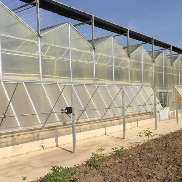 Quality Multi-Span Agricultural Greenhouses for Sustainable Fruits and Vegetables for sale